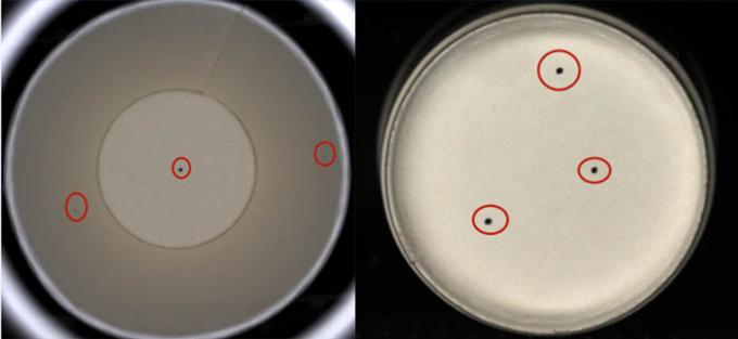 OEM Paper Plastic Cup Automatic Remote Visual Inspection System for ...