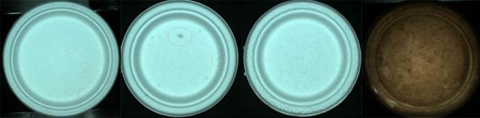 Paper Round Plate Visual Inspection System Surface Defects Detector