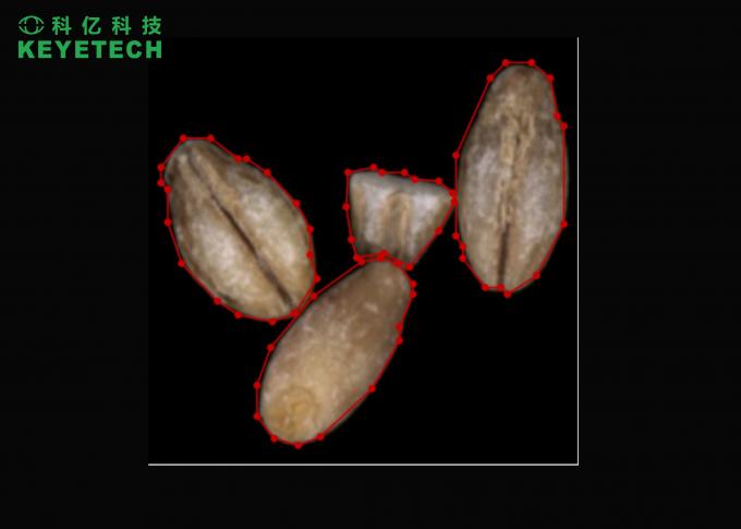 Wheat Grain Quality Analyzer With Ai Deep Learning Algorithm Support